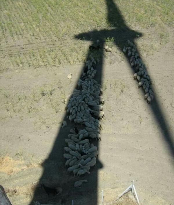 Images insolites et drôles #82 - Breakforbuzz