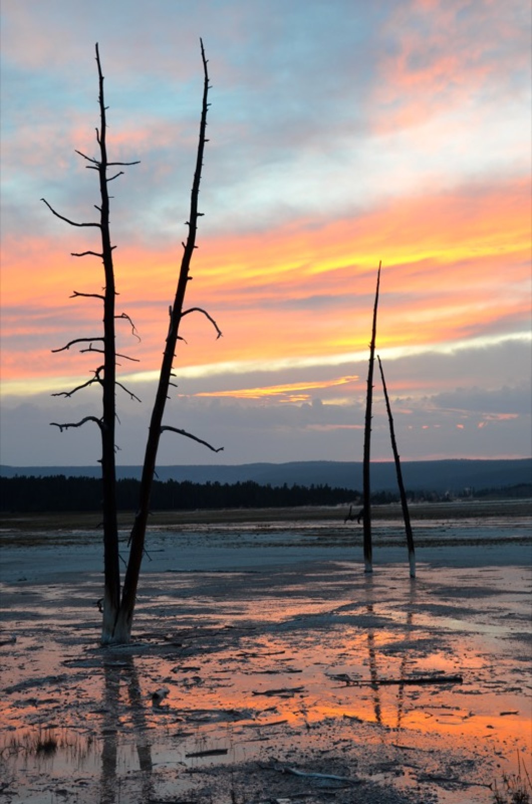 Images insolites et drôles #70 - Breakforbuzz