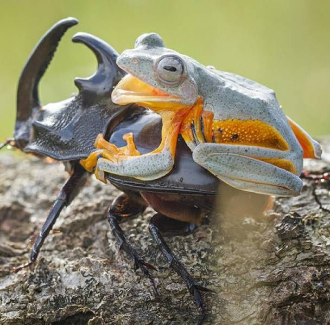 Images insolites et drôles #88 - Breakforbuzz