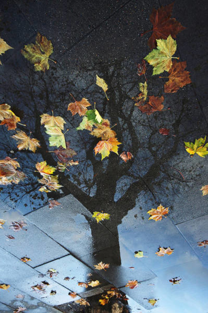 Images insolites et drôles #160 - Breakforbuzz