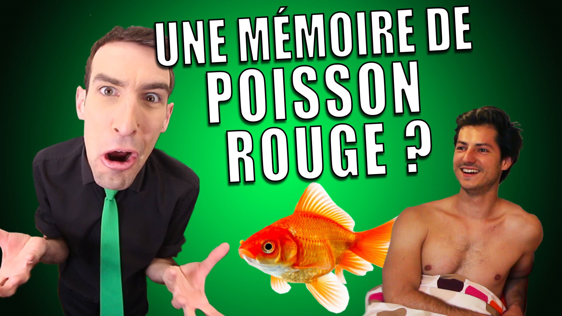 IDÉE REÇUE #11 : La mémoire du poisson rouge - Breakforbuzz