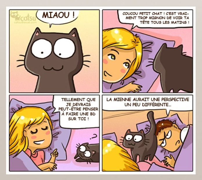 15 bandes dessinées sur la vie avec les chats - Breakforbuzz
