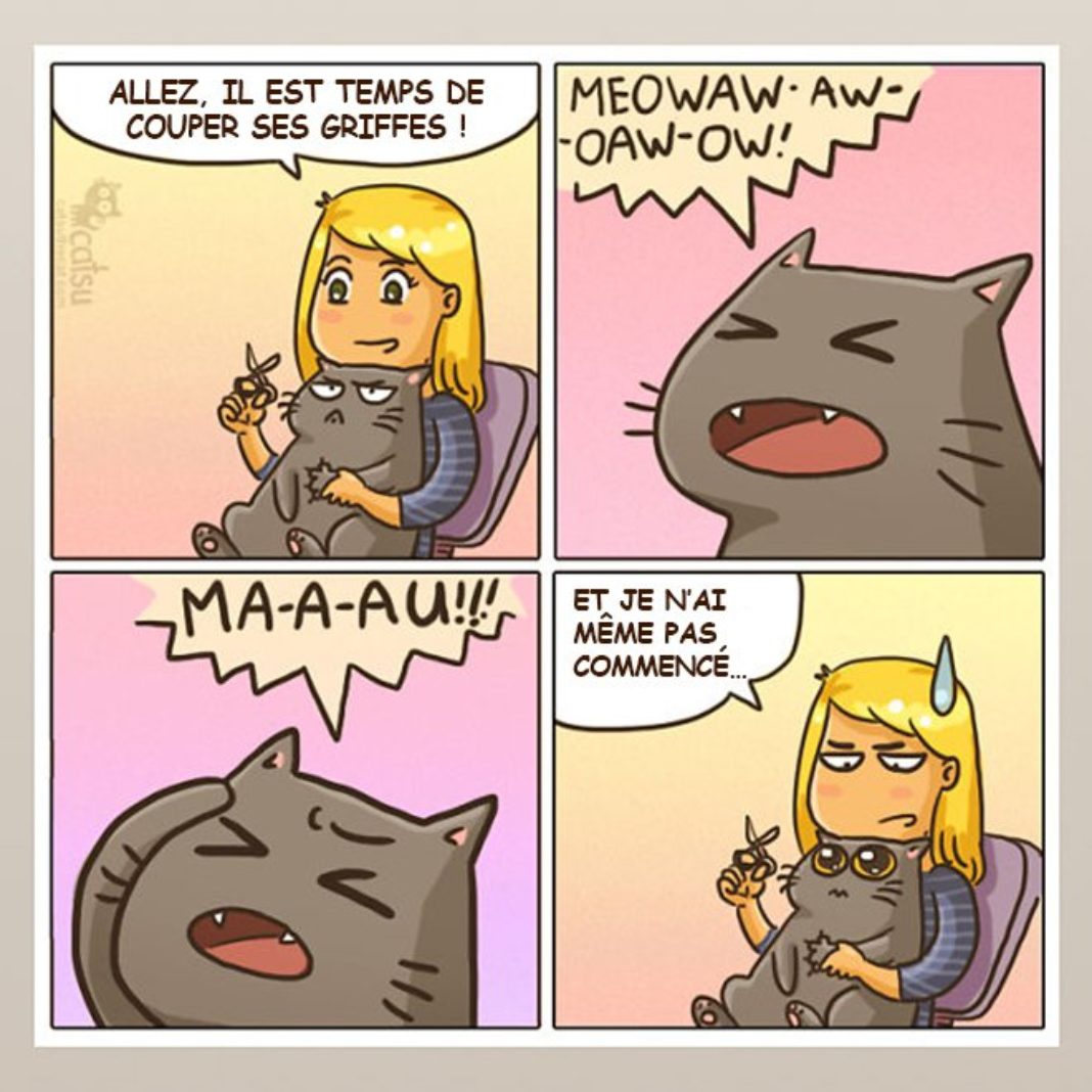 15 bandes dessinées sur la vie avec les chats - Breakforbuzz