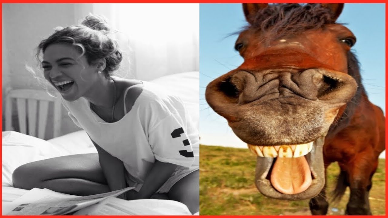 LES RIRES LES PLUS MALAISANT DU MONDE ! - Breakforbuzz