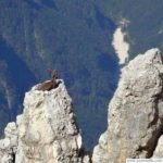 40 photos à l’esprit un brin mal tourné histoire de se marrer un bon ...